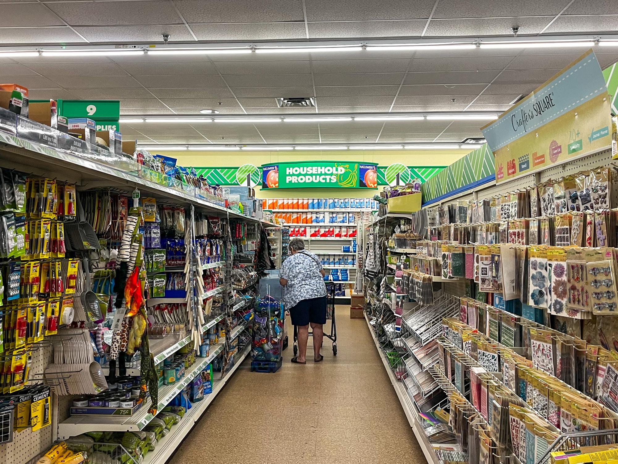 Dollar Tree Savage Mn