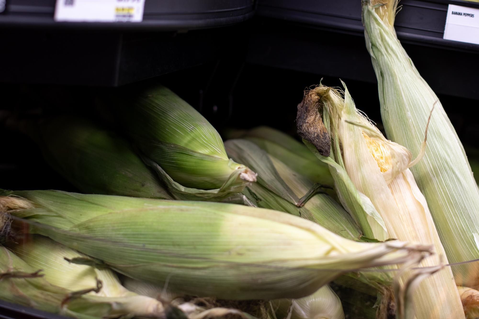 UMN searches for ways to remove forever chemicals from the environment ...