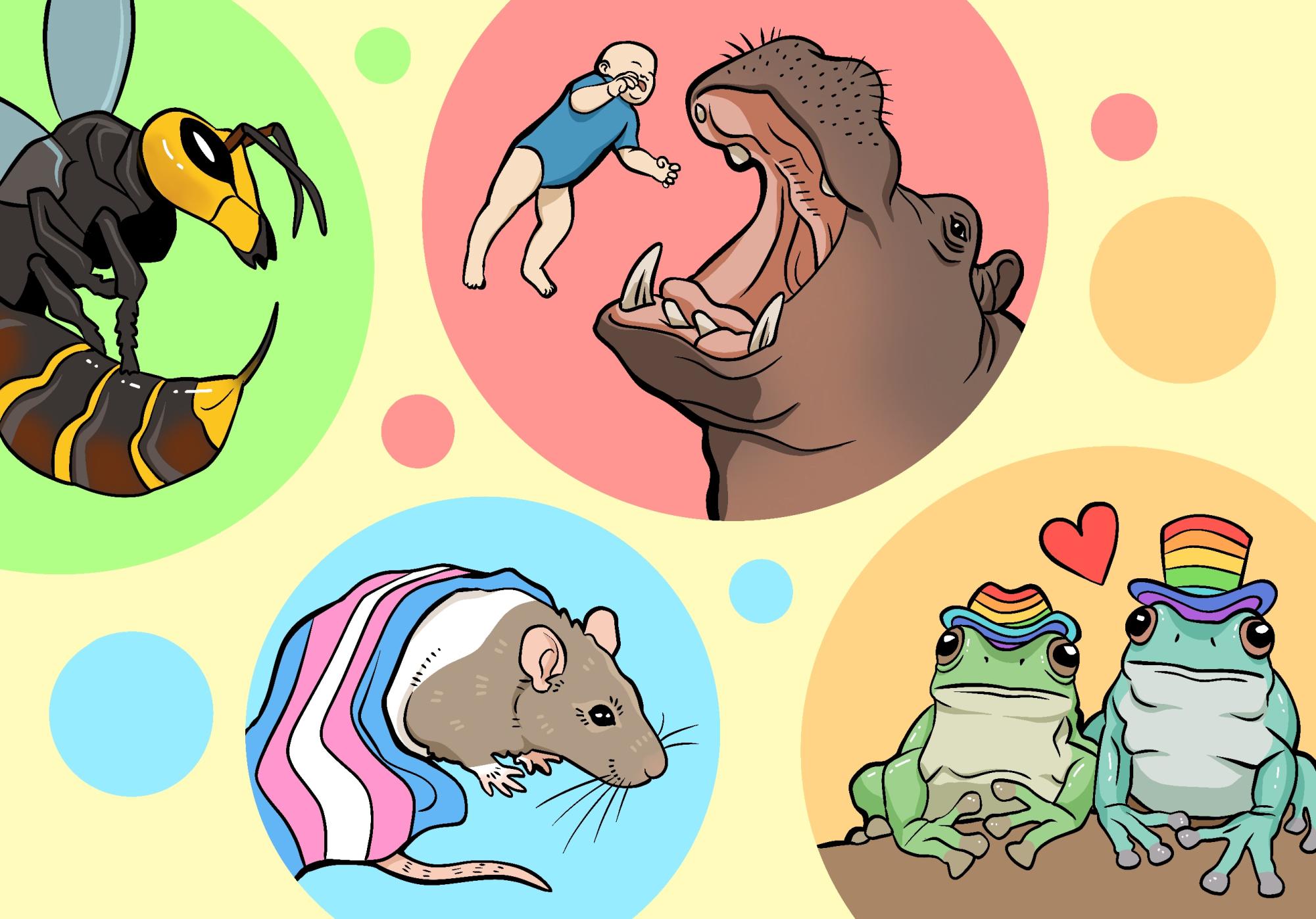 Satire: Hippos are eating babies and frogs are turning gay - The ...